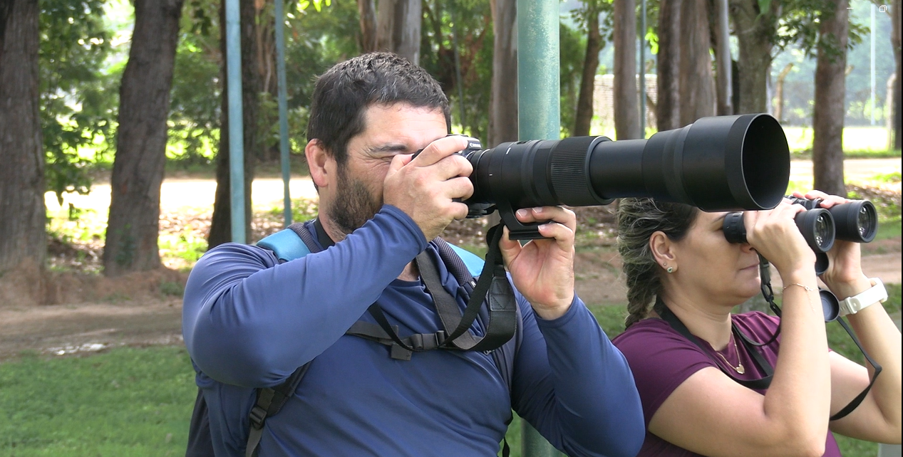 Conheça o birdwatching: grupo se uniu neste domingo para observação de ...