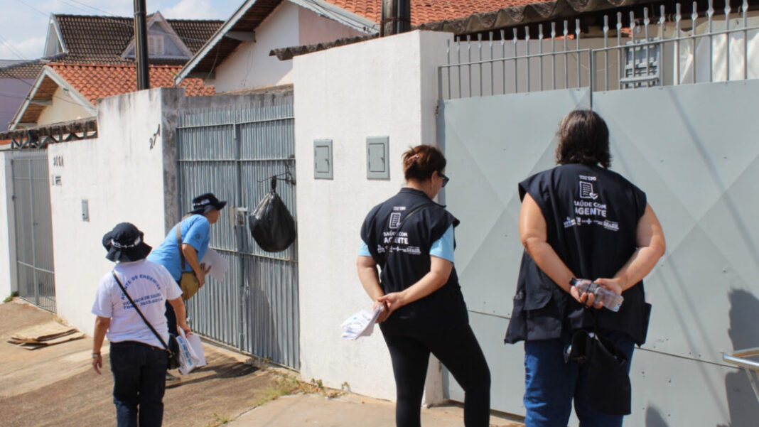 Sumaré entra em alerta após aumento de larvas do mosquito da dengue em ...